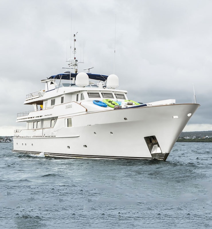 Stella Maris — Alluring Americas