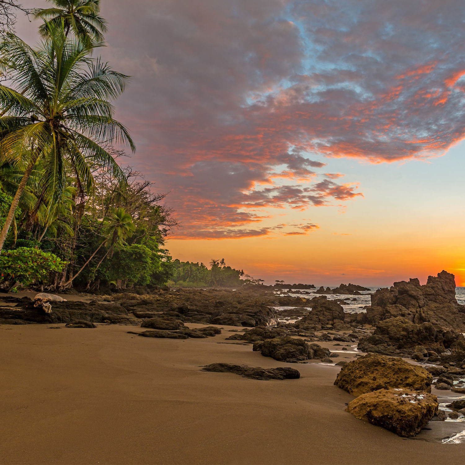 Costa Rica Luxury Honeymoon — Alluring Americas